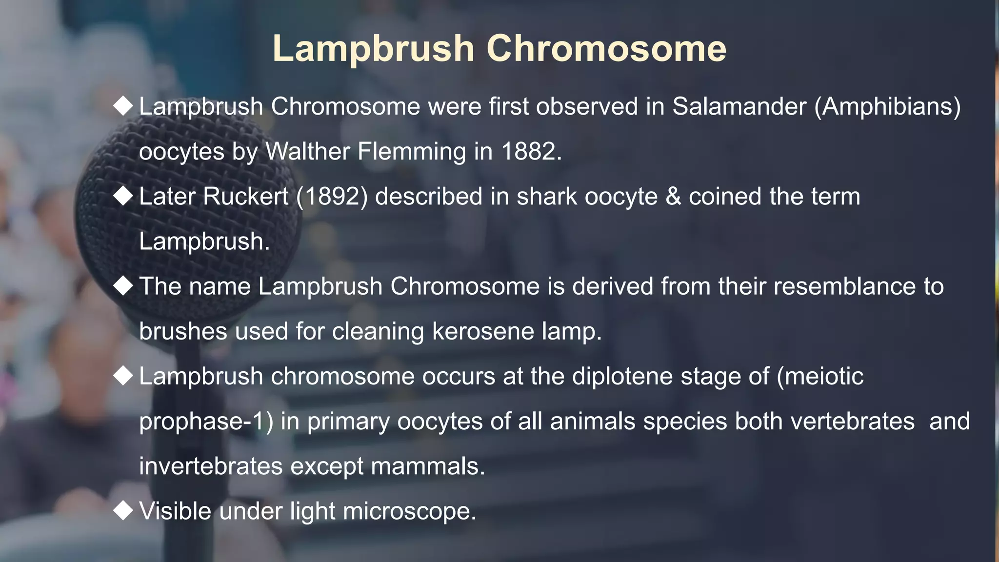 Structure of Lampbrush Chromosome.pptx