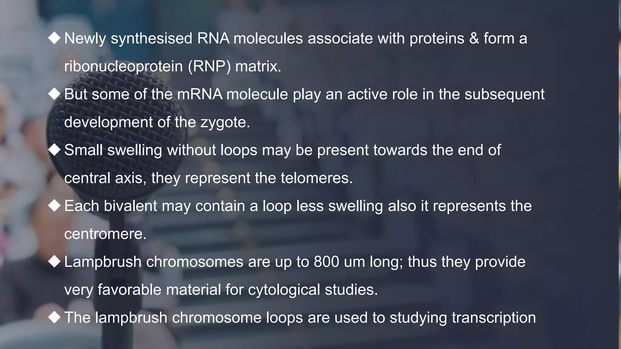 Structure of Lampbrush Chromosome.pptx