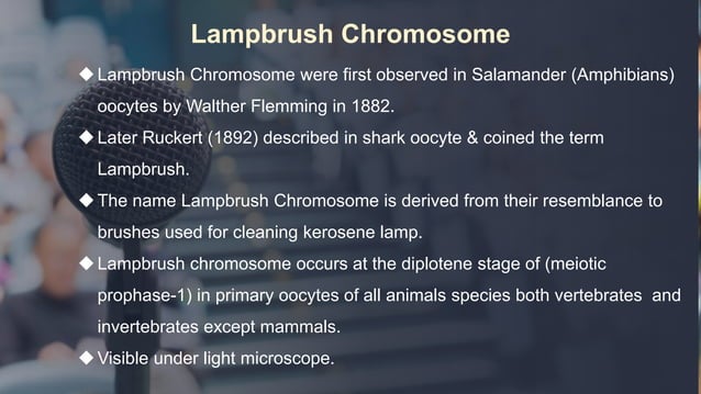 Structure of Lampbrush Chromosome.pptx