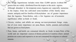 Structure of legumes | PPTX