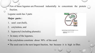 Structure of legumes | PPTX