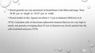 Structure of legumes | PPTX