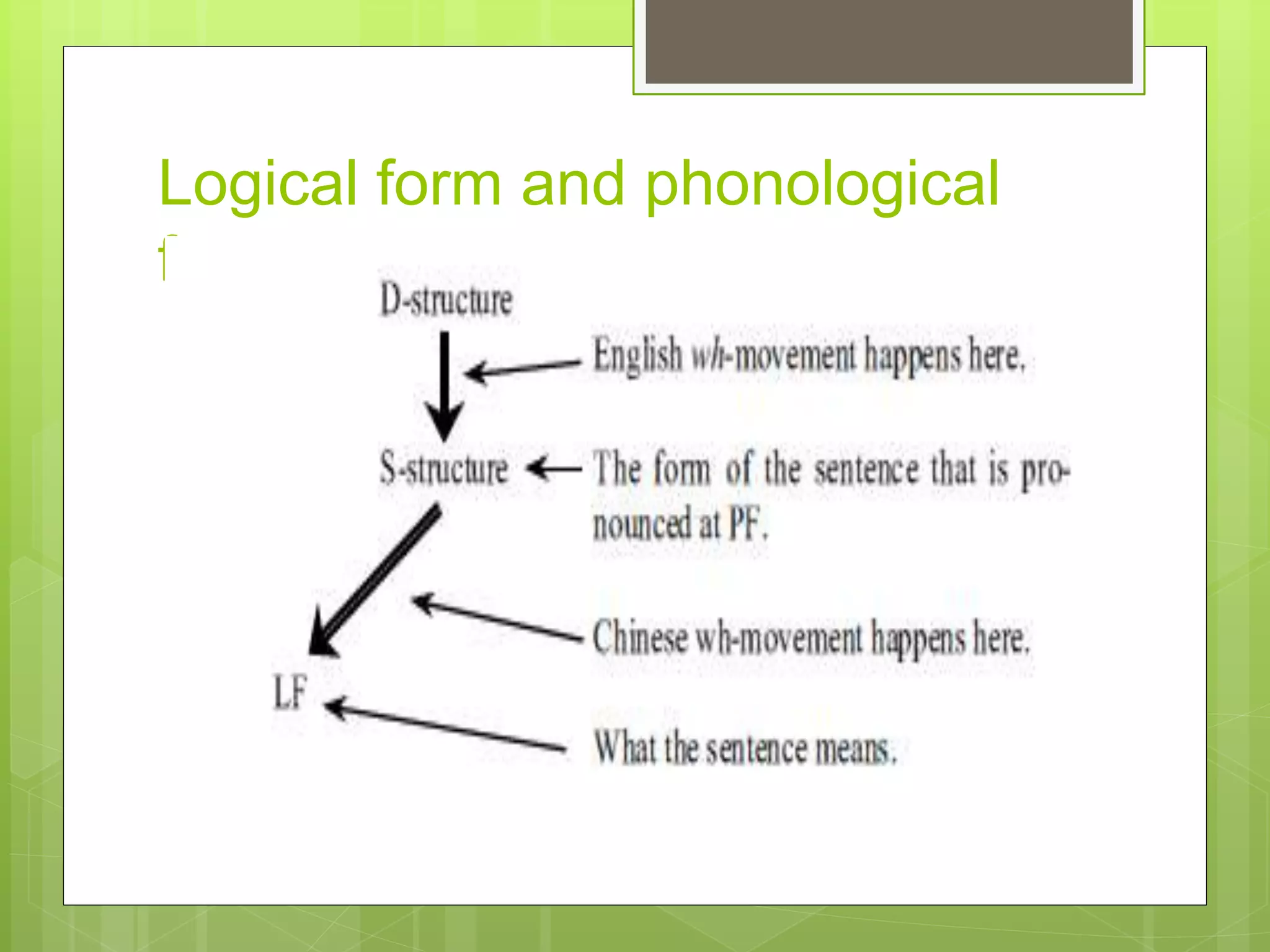 structure of lexicon.pptx