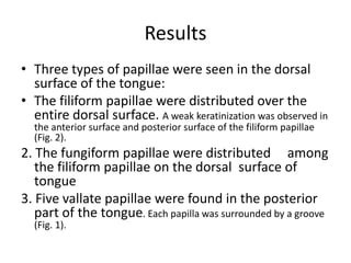 Structure of lingual papillae on | PPTX