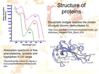Structure oflivingmatter fin | PPT