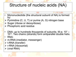 Structure oflivingmatter fin | PPT