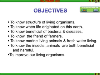 Structure of living organism | PPTX