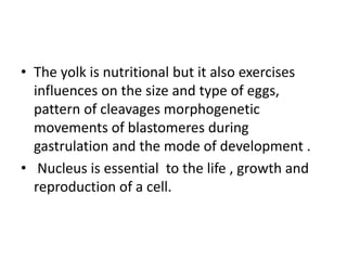 Structure of mature ovum | PPTX