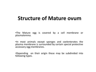 Structure of mature ovum | PPTX