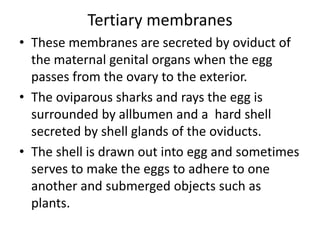 Structure of mature ovum | PPTX