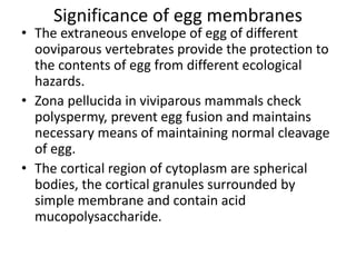 Structure of mature ovum | PPTX