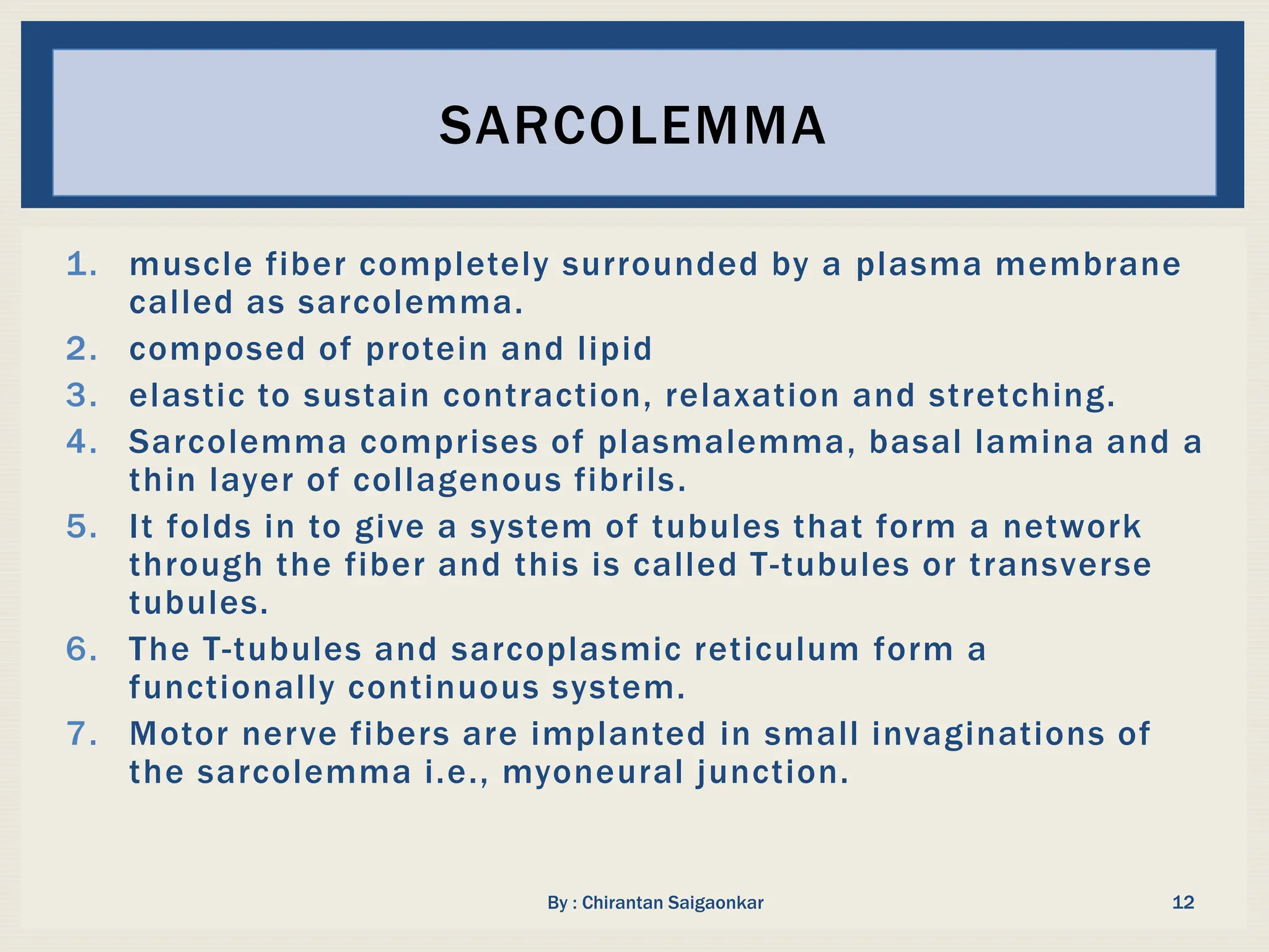 STRUCTURE OF MEAT MUSCLE AND ASSOCIATED TISSUES.pptx