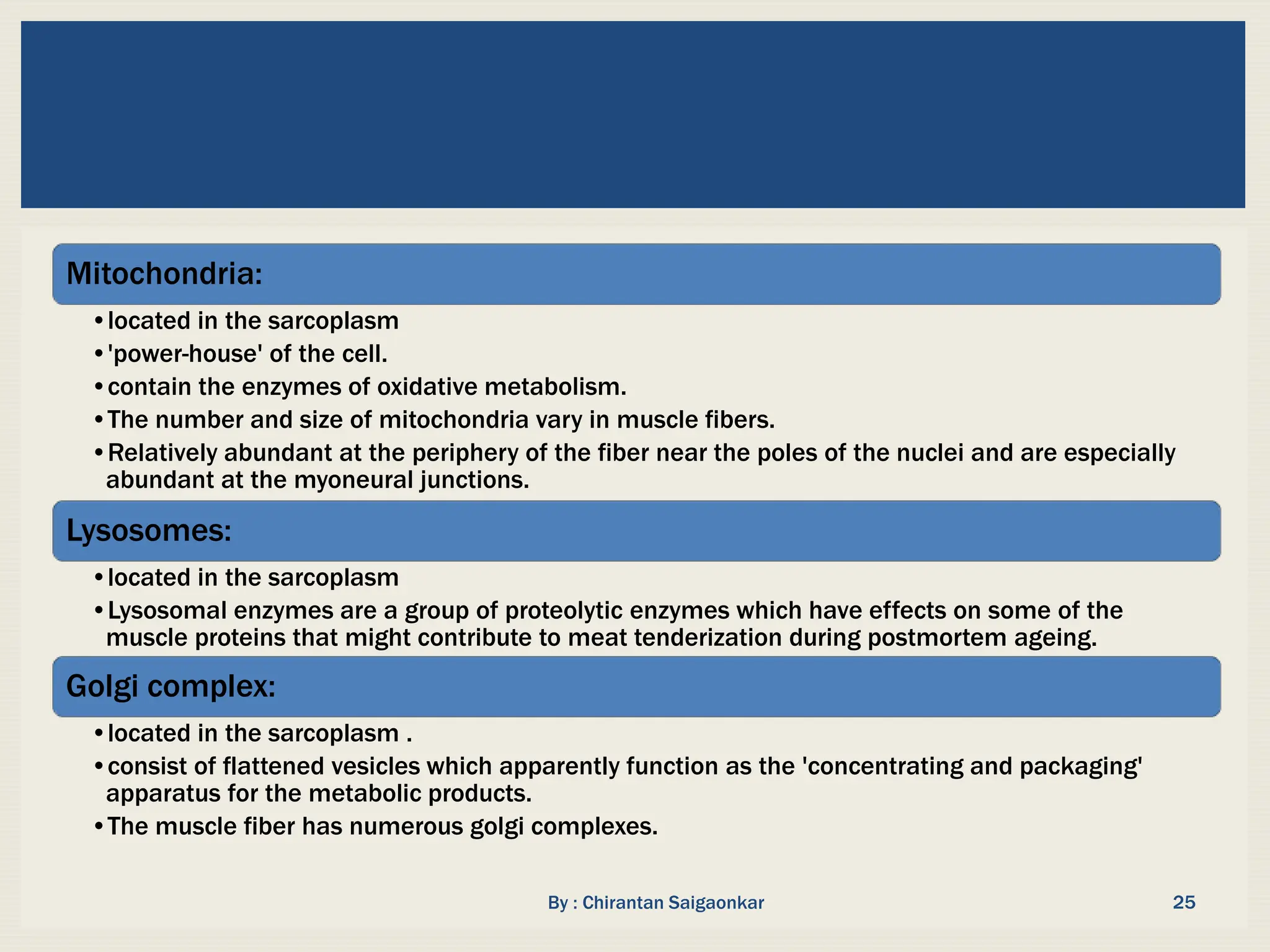 STRUCTURE OF MEAT MUSCLE AND ASSOCIATED TISSUES.pptx