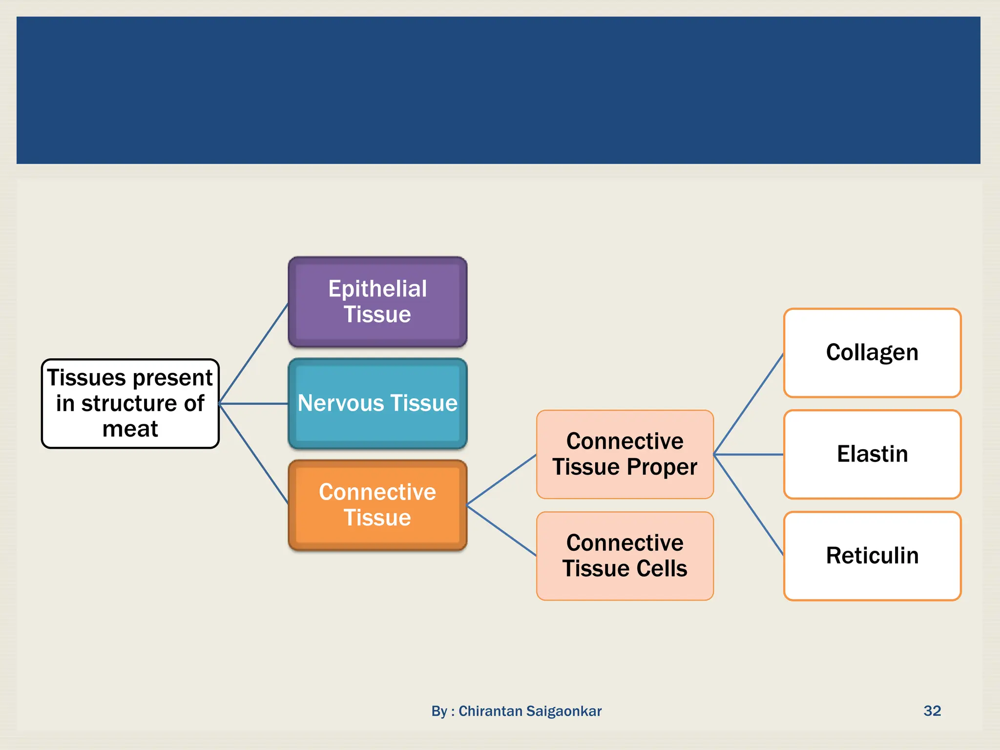 STRUCTURE OF MEAT MUSCLE AND ASSOCIATED TISSUES.pptx