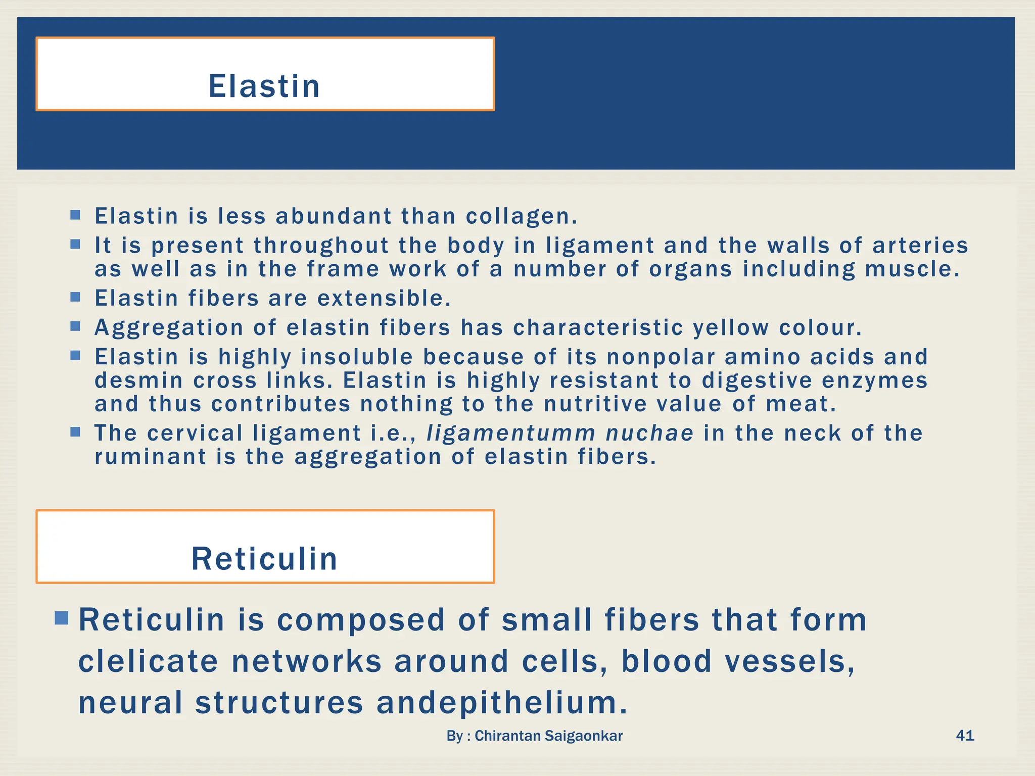 STRUCTURE OF MEAT MUSCLE AND ASSOCIATED TISSUES.pptx