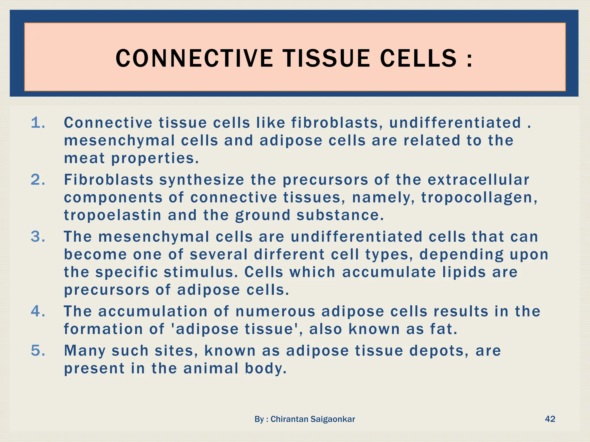 STRUCTURE OF MEAT MUSCLE AND ASSOCIATED TISSUES.pptx