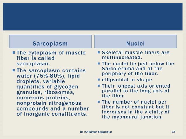STRUCTURE OF MEAT MUSCLE AND ASSOCIATED TISSUES.pptx