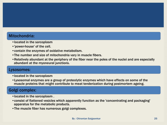 STRUCTURE OF MEAT MUSCLE AND ASSOCIATED TISSUES.pptx