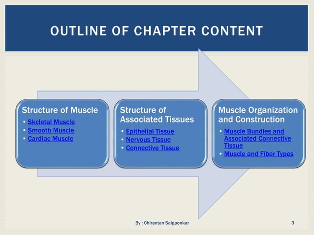 STRUCTURE OF MEAT MUSCLE AND ASSOCIATED TISSUES.pptx