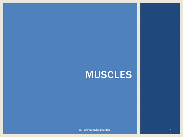 STRUCTURE OF MEAT MUSCLE AND ASSOCIATED TISSUES.pptx