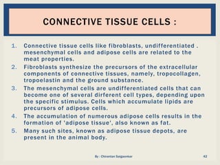 STRUCTURE OF MEAT MUSCLE AND ASSOCIATED TISSUES.pptx