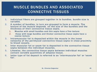 STRUCTURE OF MEAT MUSCLE AND ASSOCIATED TISSUES.pptx