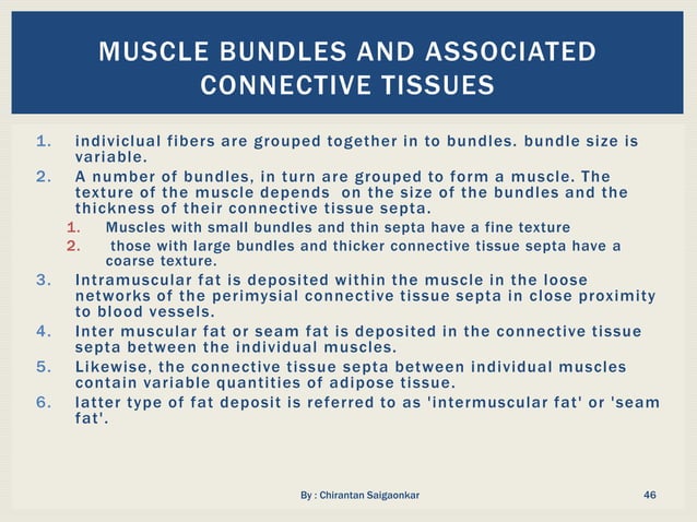 STRUCTURE OF MEAT MUSCLE AND ASSOCIATED TISSUES.pptx