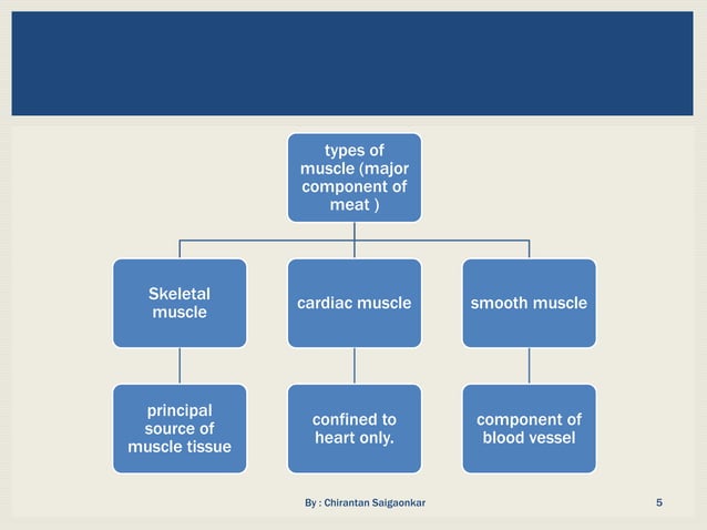 STRUCTURE OF MEAT MUSCLE AND ASSOCIATED TISSUES.pptx