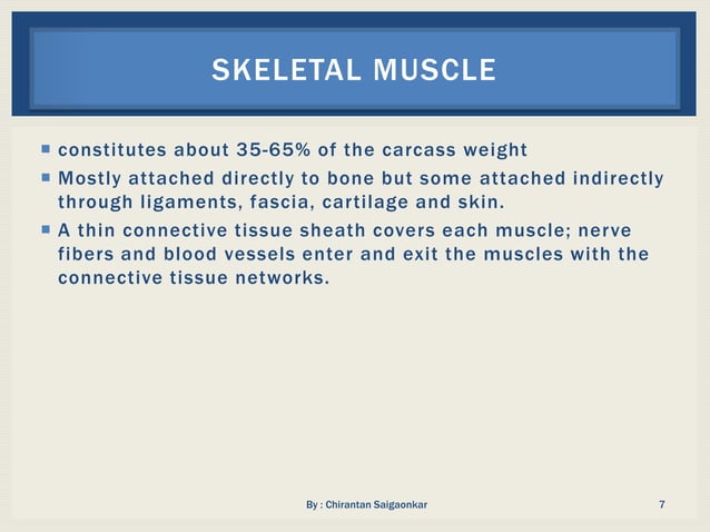 STRUCTURE OF MEAT MUSCLE AND ASSOCIATED TISSUES.pptx