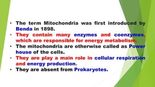 Topic: Structure of Mitochondria- zoology | PDF