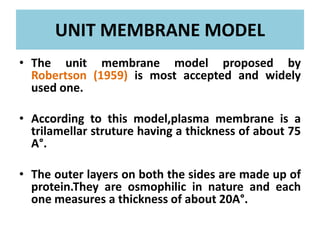 Structure of model membrane | PPTX