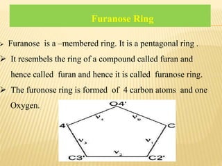 Structure of monosaccharides | PPTX