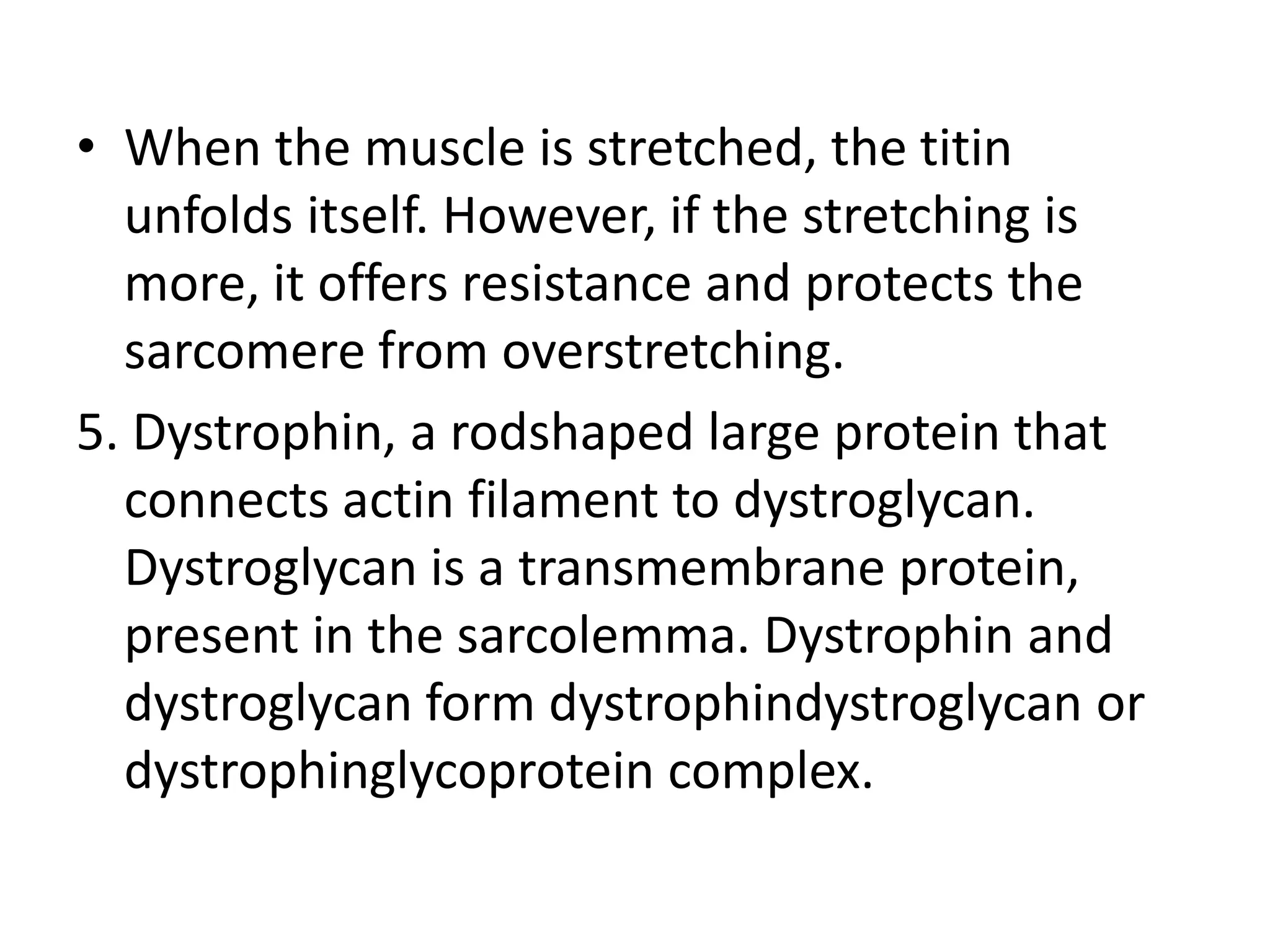Structure of muscle | PPTX