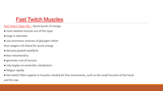 STRUCTURE OF MUSCLE.pptx