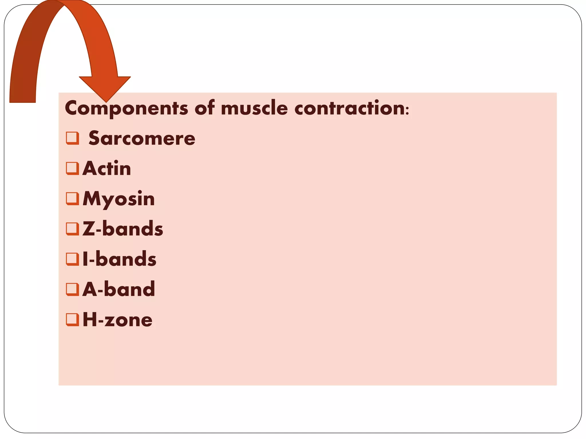 Structure of muscle contraction | PPTX