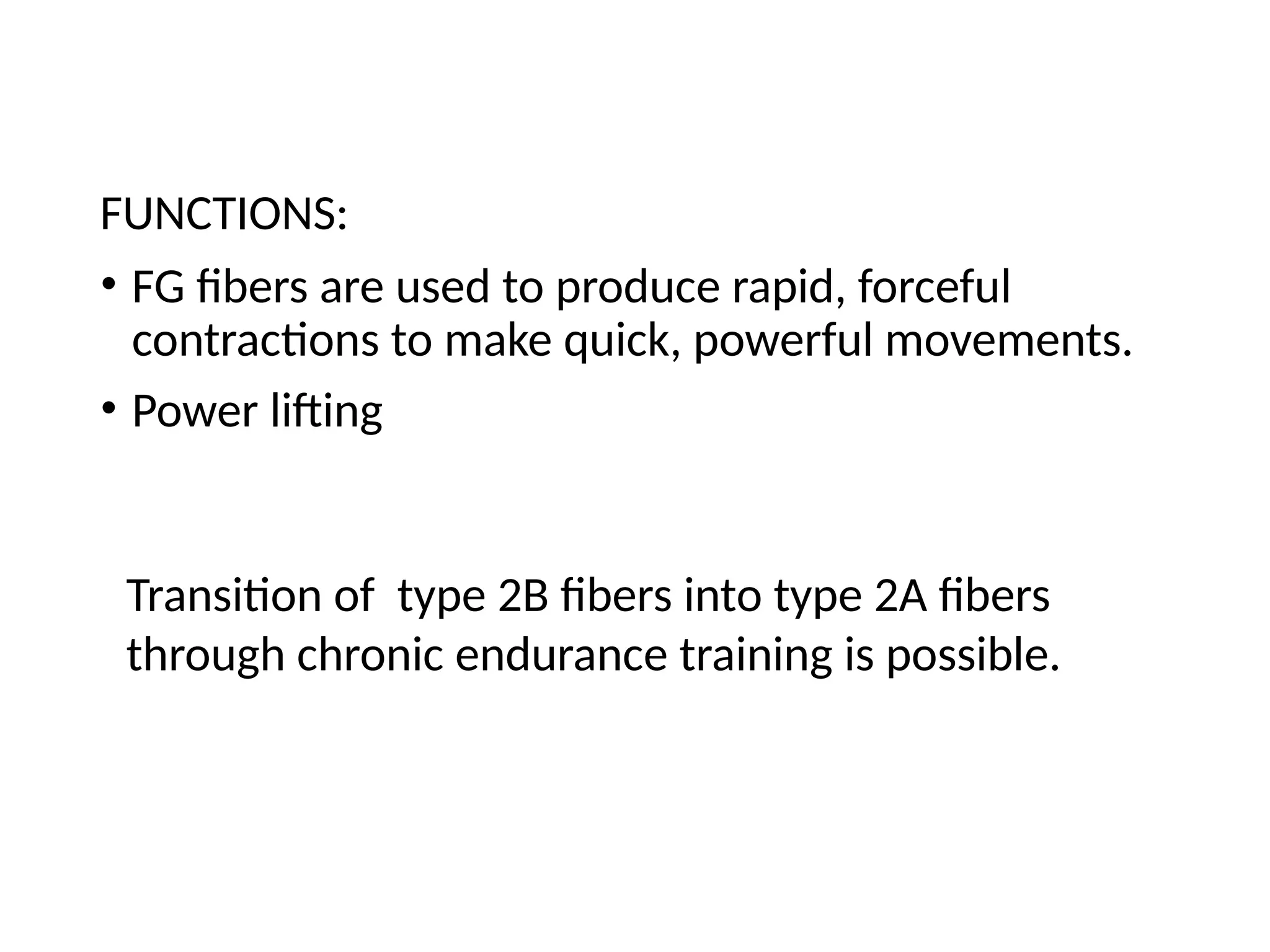 Structure of muscle fibers Simplified PPT | PPTX