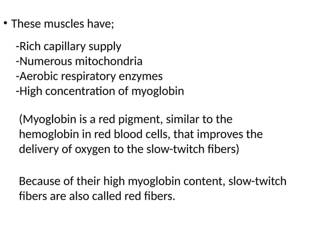 Structure of muscle fibers Simplified PPT | PPTX