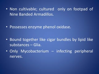 Structure of mycobacterium leprae | PPTX | Biological Sciences | Science