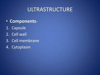 Structure of mycobacterium leprae | PPT