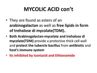 Structure of mycobacterium phcl 413 | PPT