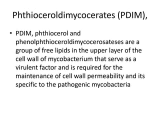 Structure of mycobacterium phcl 413 | PPT