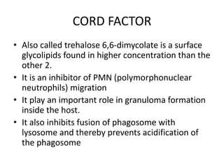 Structure of mycobacterium phcl 413 | PPT