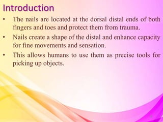structureofnailanddiseases-180711171533.pdf