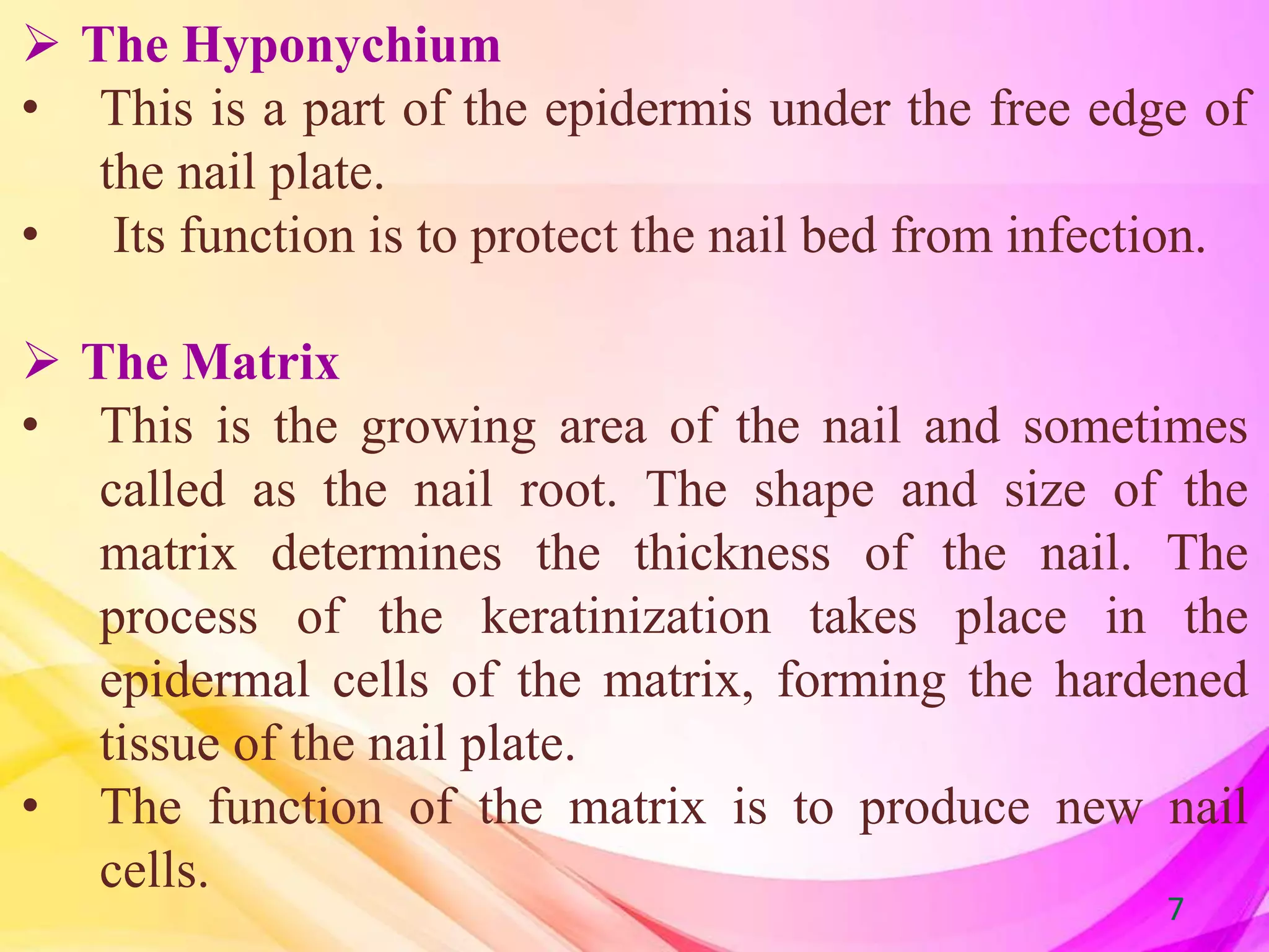 Structure of nail and diseases | PPTX