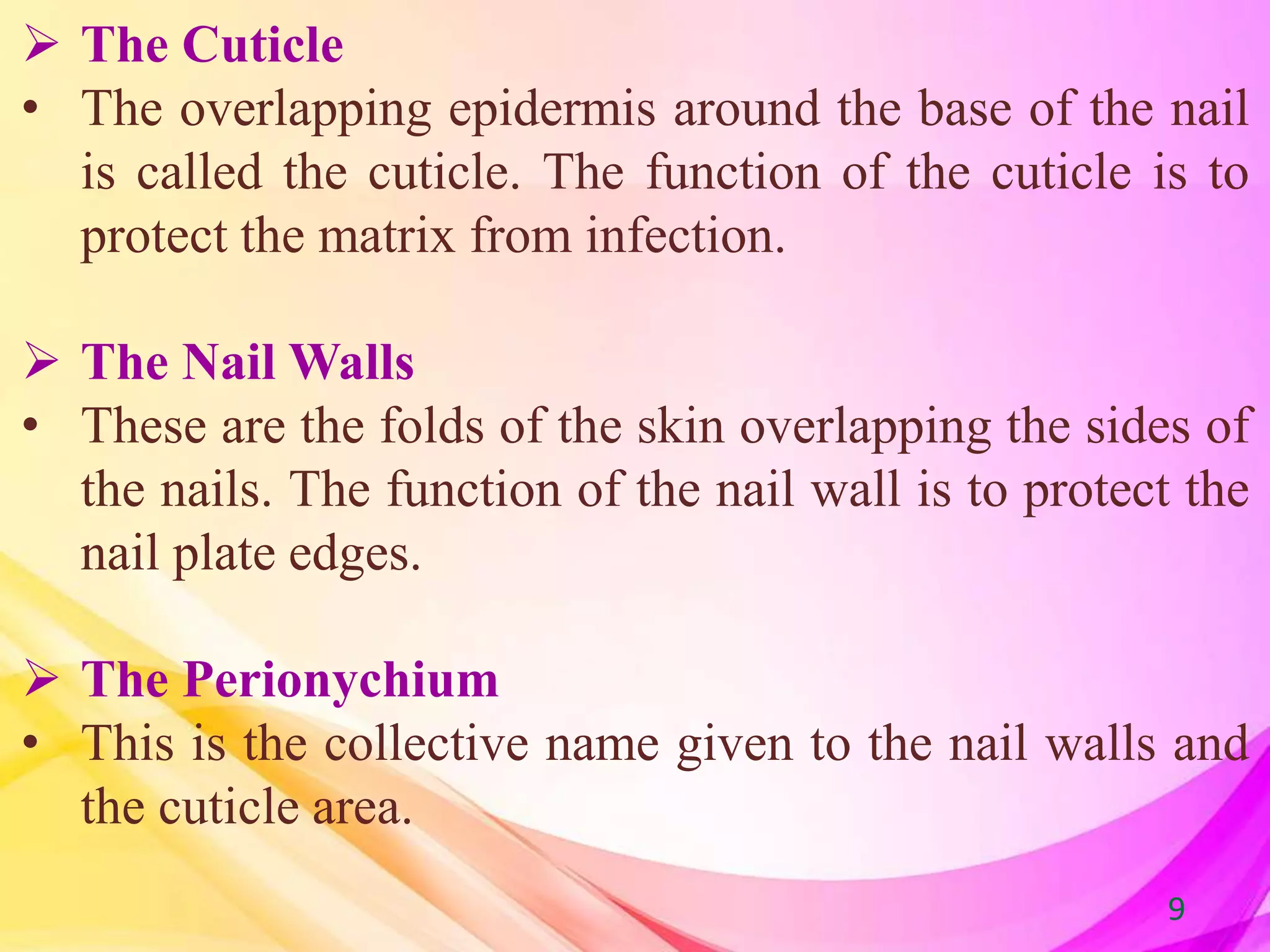 Structure of nail and diseases | PPTX