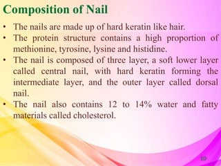 Structure of nail and diseases | PPTX
