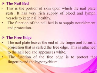 Structure of nail and diseases | PPT