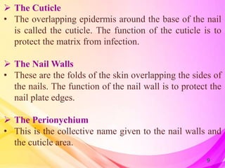 Structure of nail and diseases | PPT
