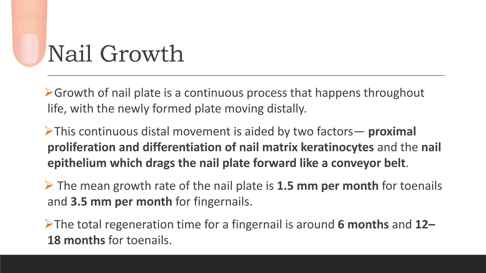 Structure of Nail | PPTX