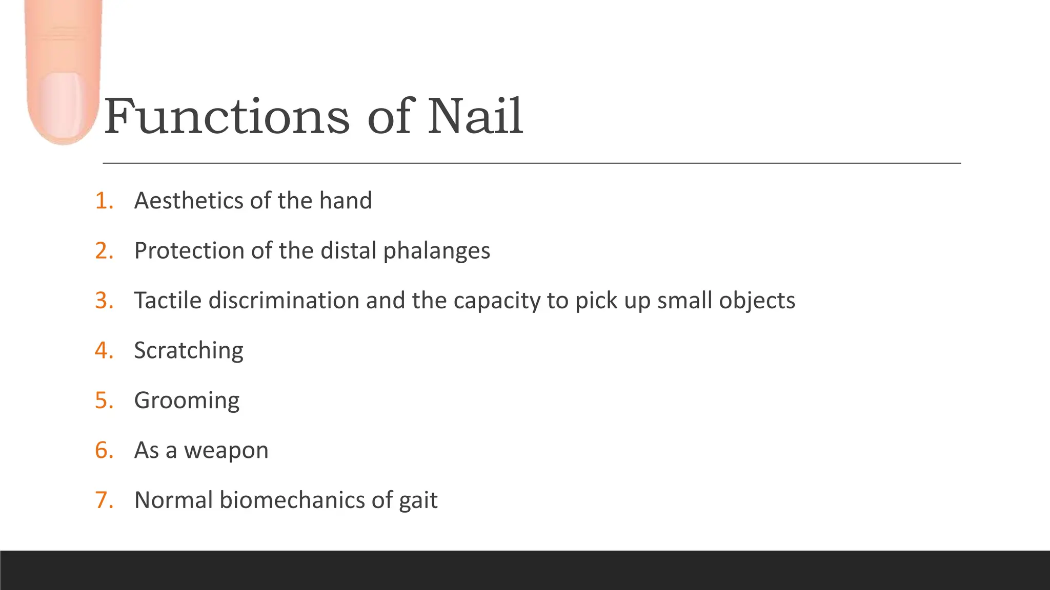 Structure of Nail | PPTX